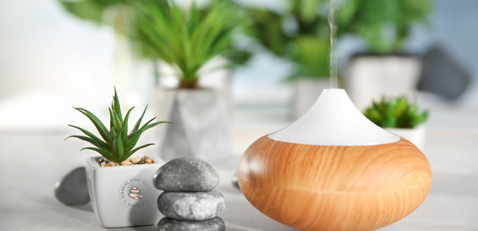Aromatherapy Diffuser Buying Guide - Standing Stone Wellness