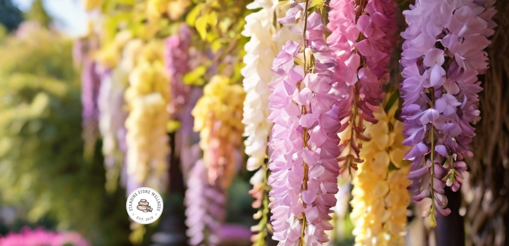 Essential Oils for Spring: How to Create a Spring Themed Essential Oil ...